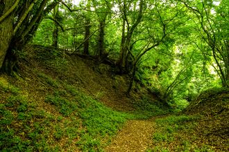 Nature Reserves | Worcestershire Wildlife Trust