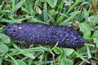 What's on | Worcestershire Wildlife Trust