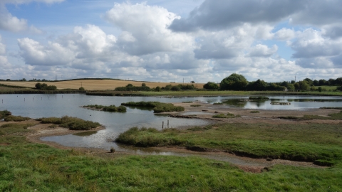 The Christopher Cadbury Wetland Reserve at Upton Warren ...