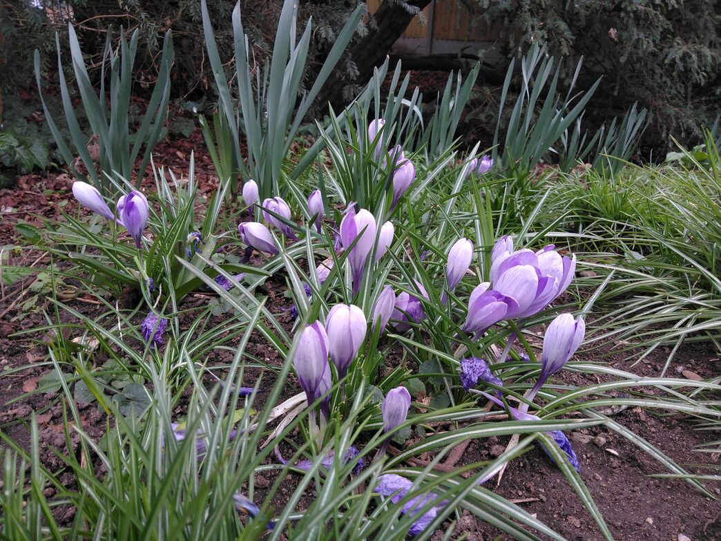 The Rocky, Kempsey - A Natural Networks Case Study | Worcestershire ...