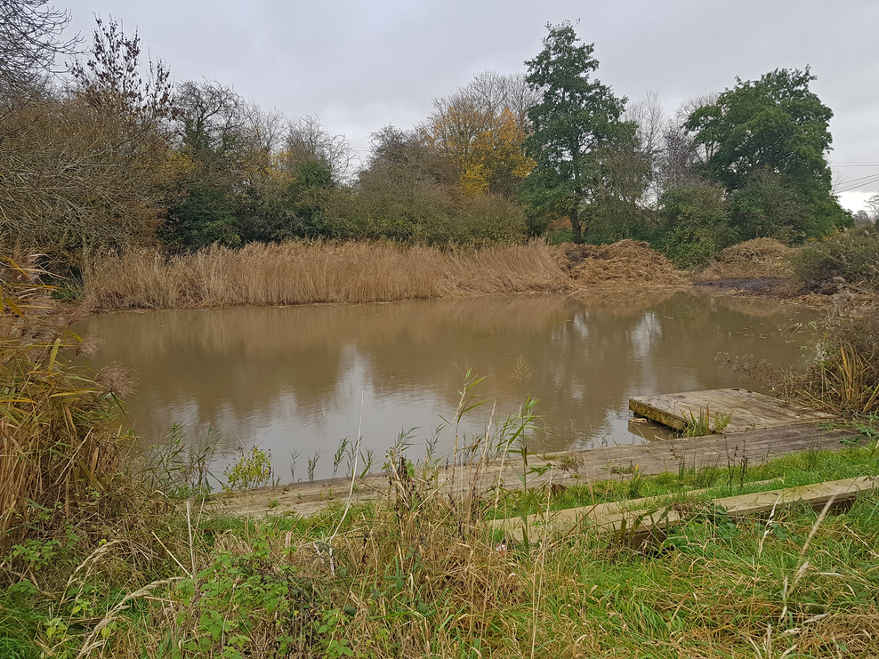 Wildlife helped by pond restoration | Worcestershire Wildlife Trust