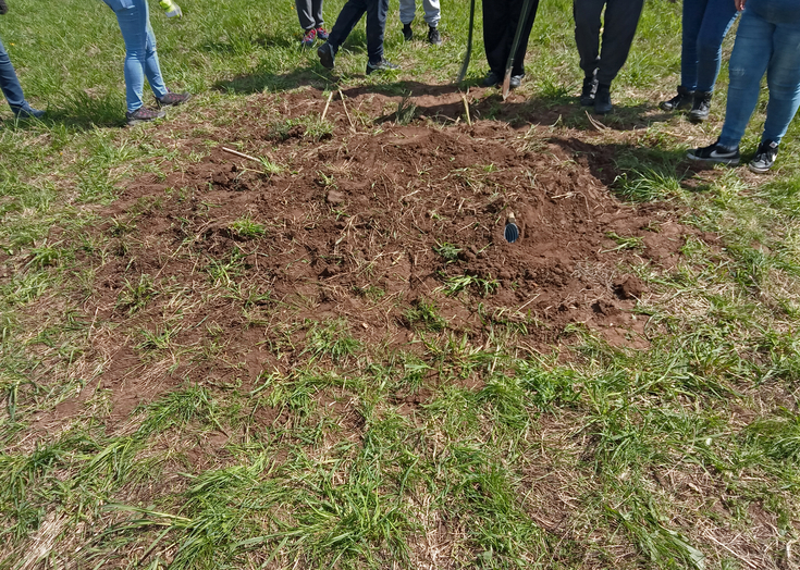 Winter wonderings | Worcestershire Wildlife Trust