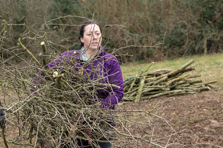 Conservation volunteering | Worcestershire Wildlife Trust