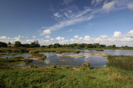 Restoration work to start at Upton Warren | Worcestershire Wildlife Trust