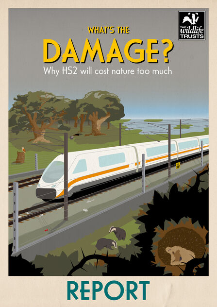 High Speed Rail (HS2) – new report reveals exorbitant cost to nature ...